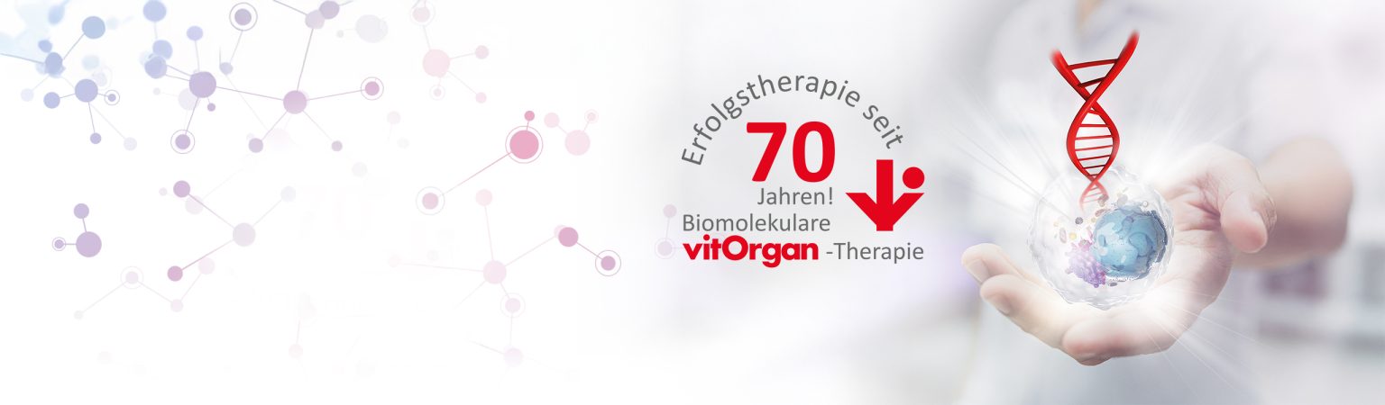 Über uns | vitOrgan